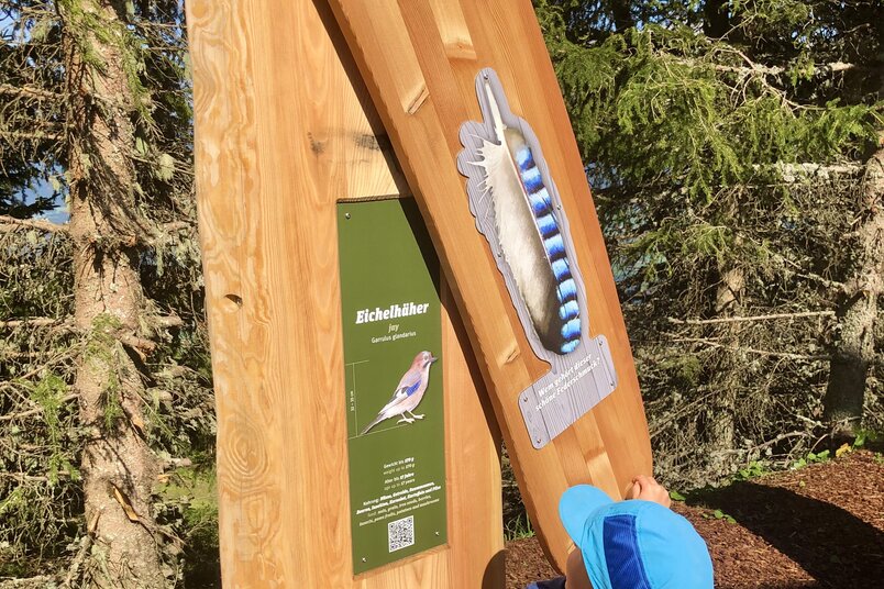 Hopsiland Planai – Spiel & Erlebnis auf der Planai