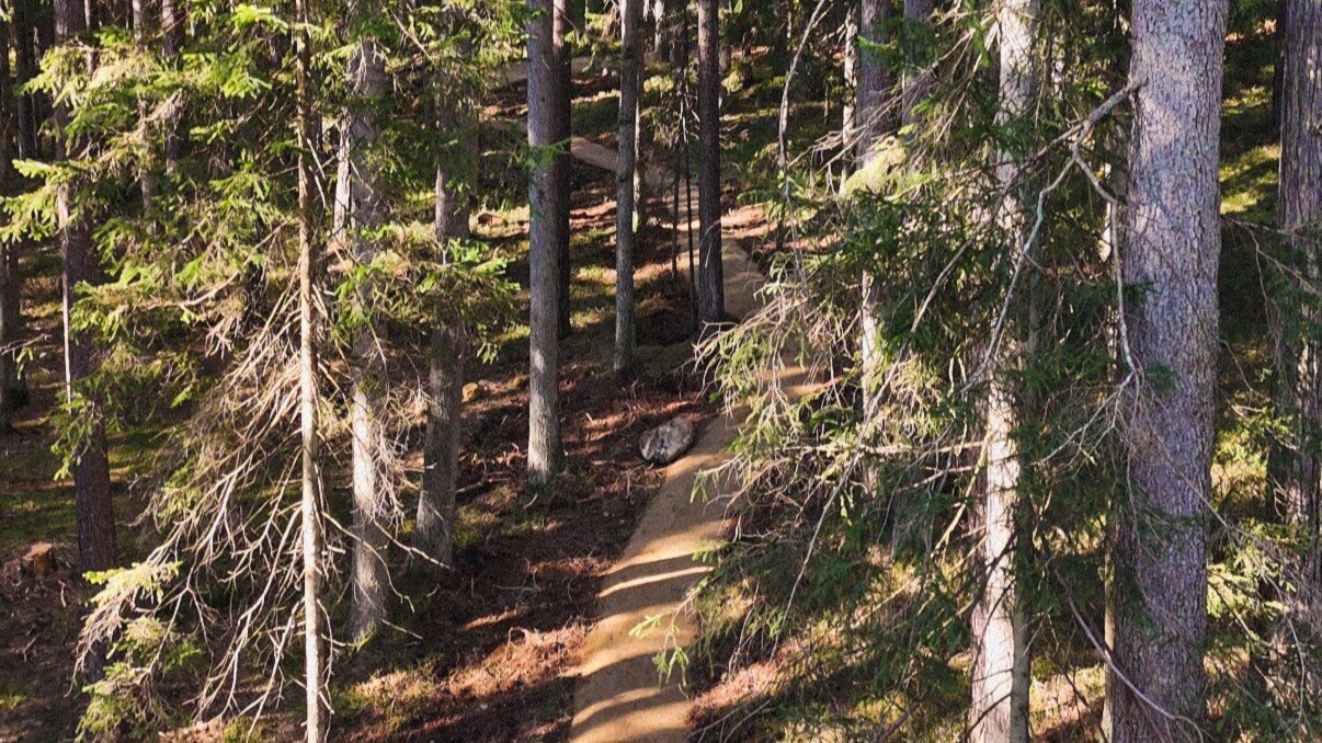 So entstehen die blauen Trails | Schladming-Dachstein