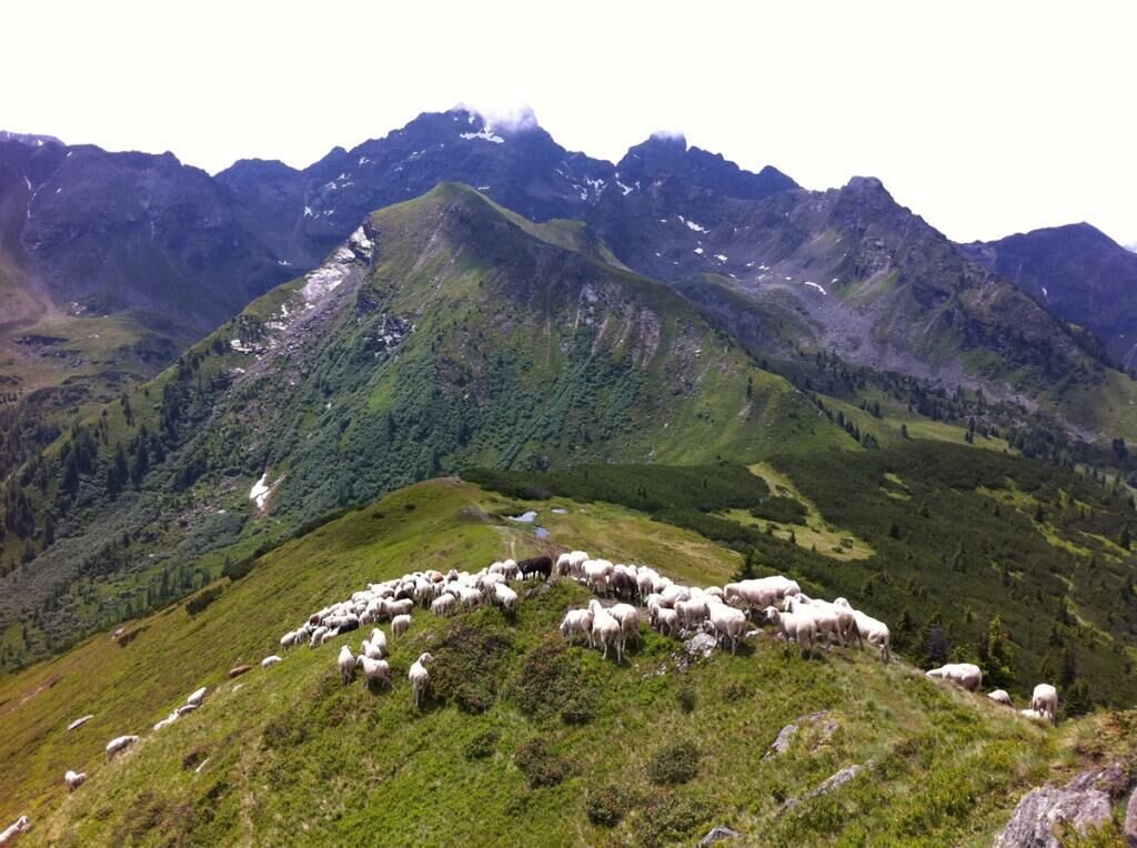 Mountain tour to the Bärfallspitze | Schladming-Dachstein
