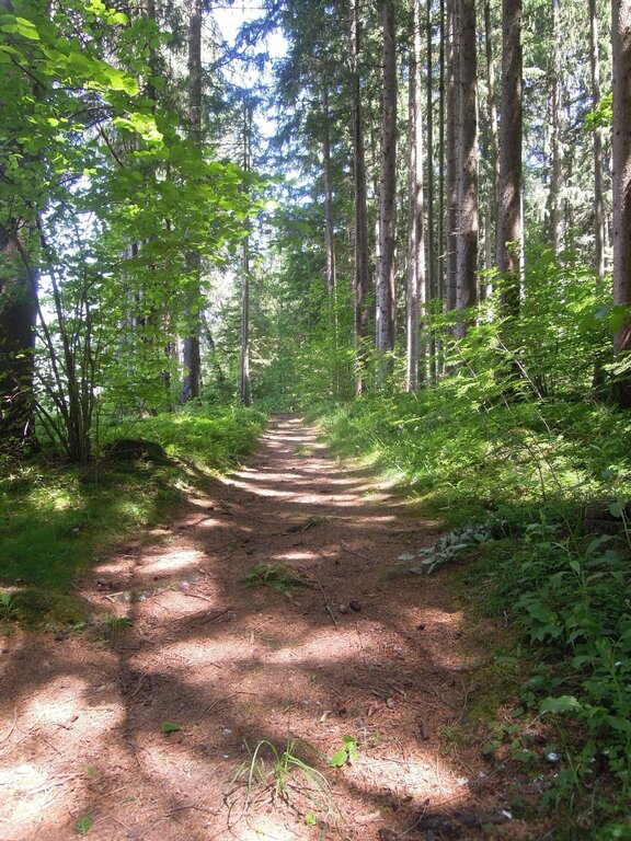 Bienenmuseumweg (M 8) | Schladming-Dachstein